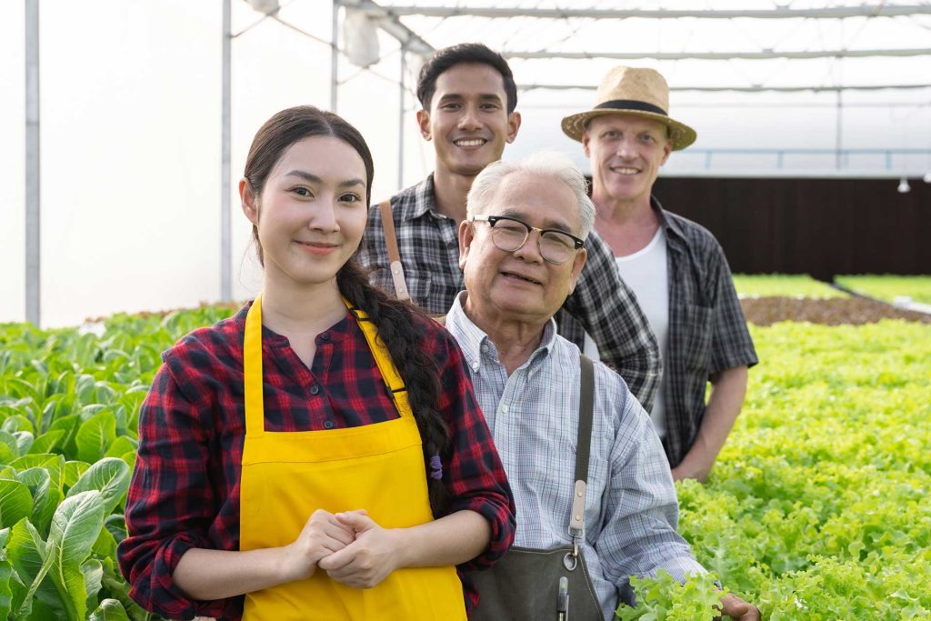 SNT Food Stuff Trading