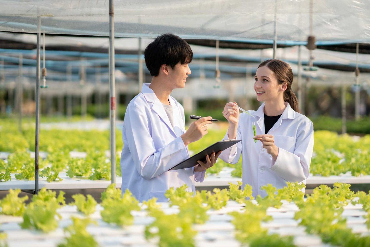 SNT Food Stuff Trading