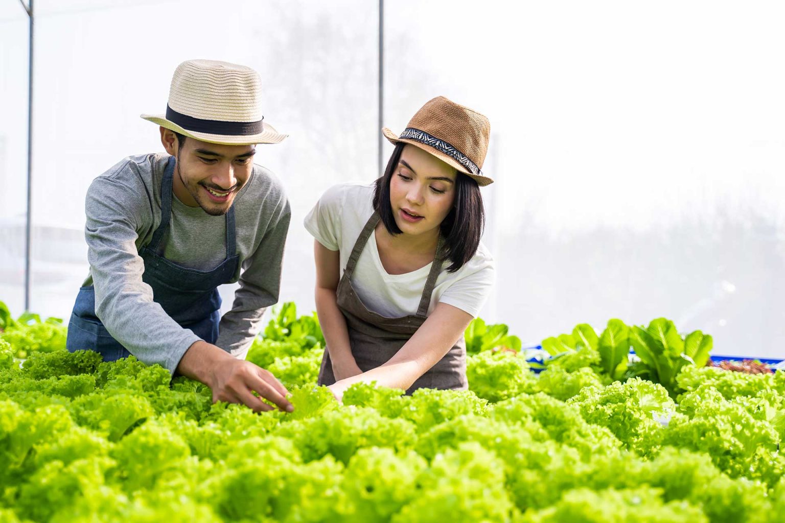 SNT Food Stuff Trading