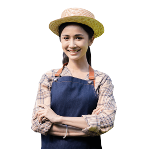 SNT Food Stuff Trading